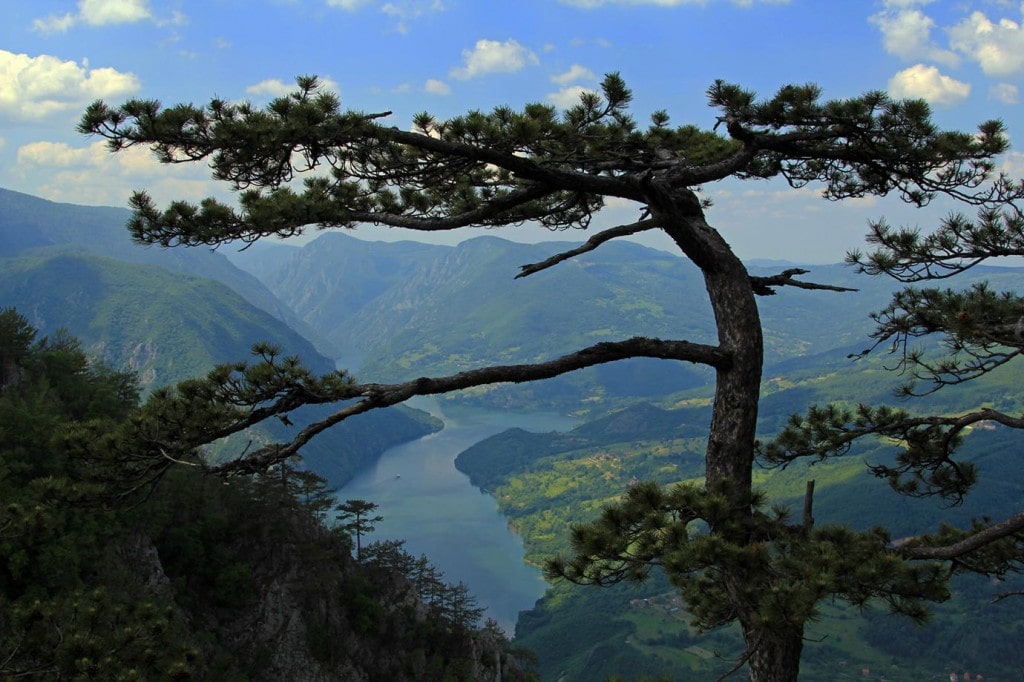 The Best Places to go Hiking in Bajina Basta, Serbia (2024 Guide)