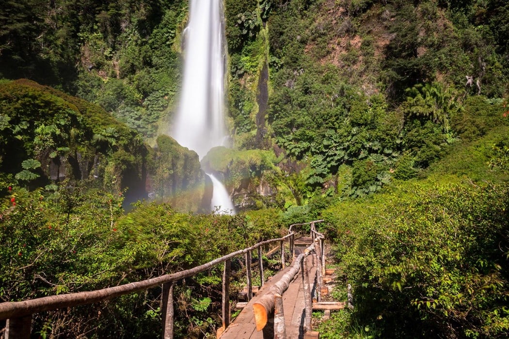 Learning About the Mapuche in Chile (2024 Guide)