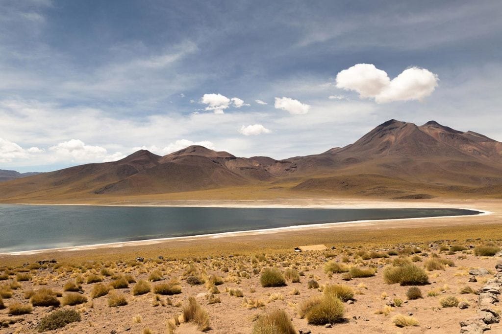 Exploring the Lagoons of the Atacama Desert, Chile (2025)