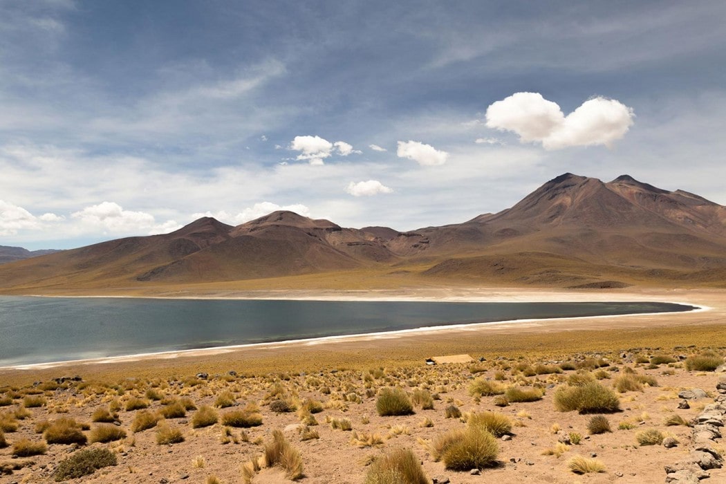 Exploring the Lagoons of the Atacama Desert, Chile (2026 Guide)