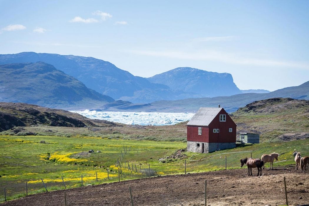 The Best Things to do in Igaliku, Southern Greenland (2024 Guide)