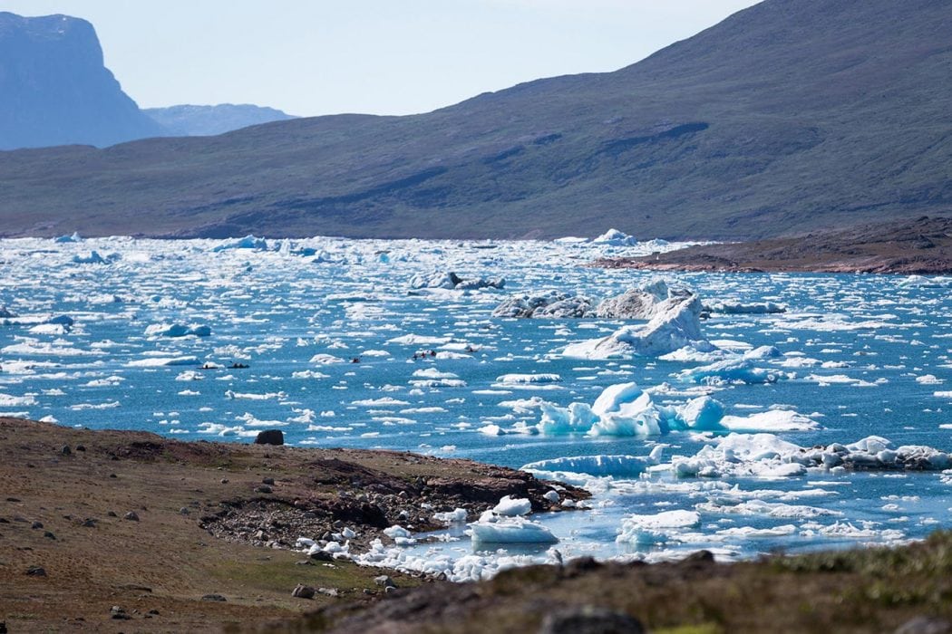 Kayaking with Icebergs in Greenland (2021 Guide)