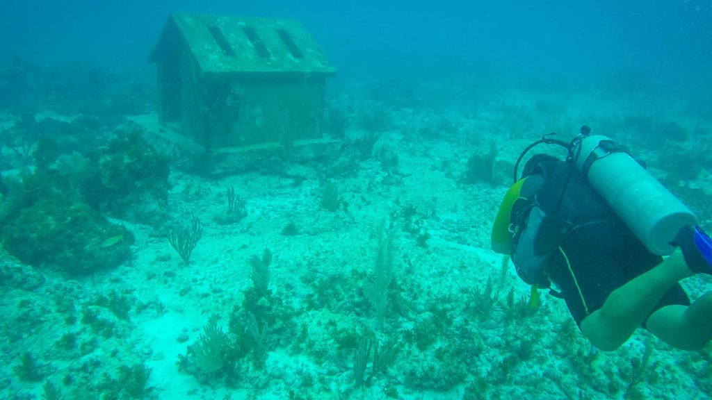Diving the MUSA Cancun Underwater Museum (2024 Guide)