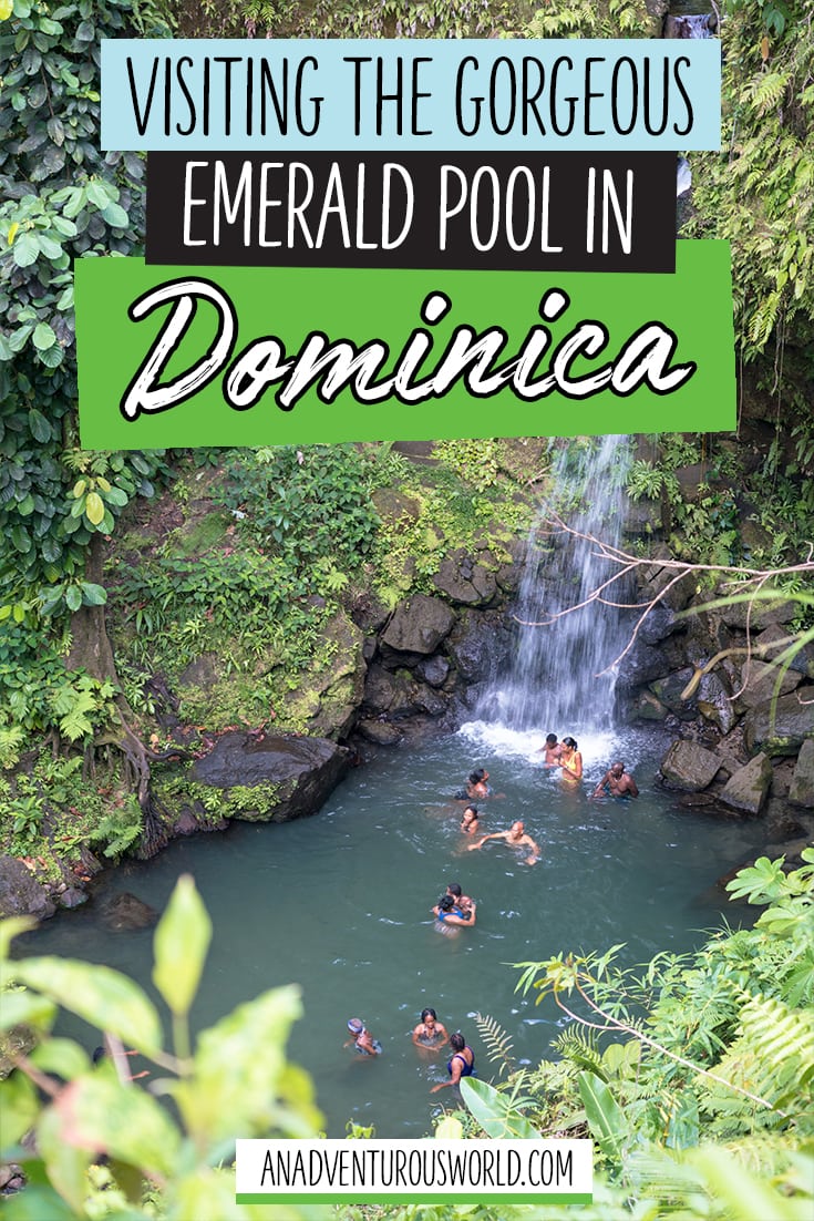 The Definitive Guide to Emerald Pool in Dominica (2026 Guide)