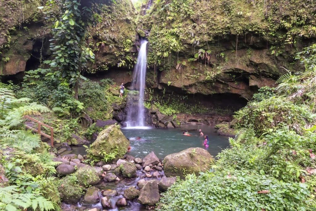 The Definitive Guide to Emerald Pool in Dominica (2024 Guide)