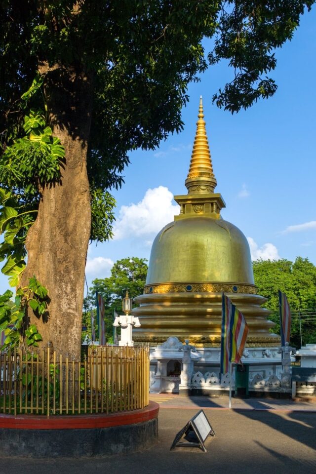 50+ FUN Countries Quiz Questions and Answers (2024 Quiz)