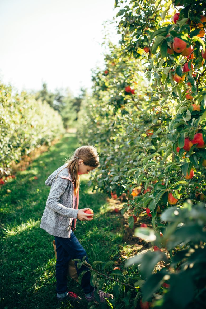 12+ BEST Things to do in Boston in the Fall (2026 Guide)