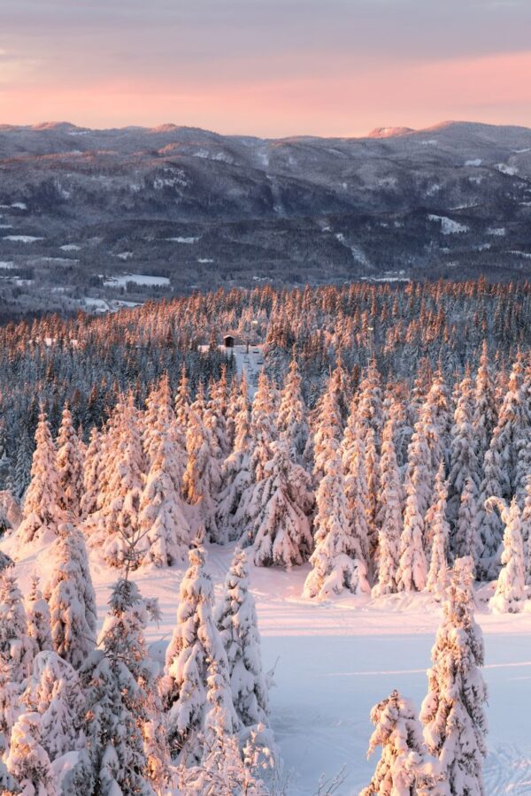 13+ BEST Things to Do in Oslo in Winter (2025 Guide)