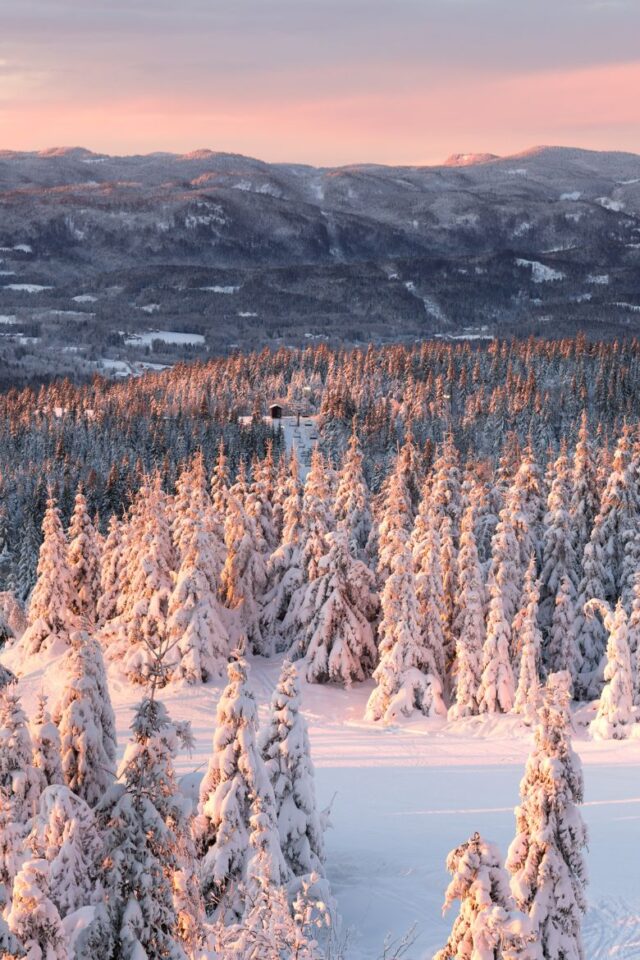 13+ BEST Things to Do in Oslo in Winter (2025 Guide)