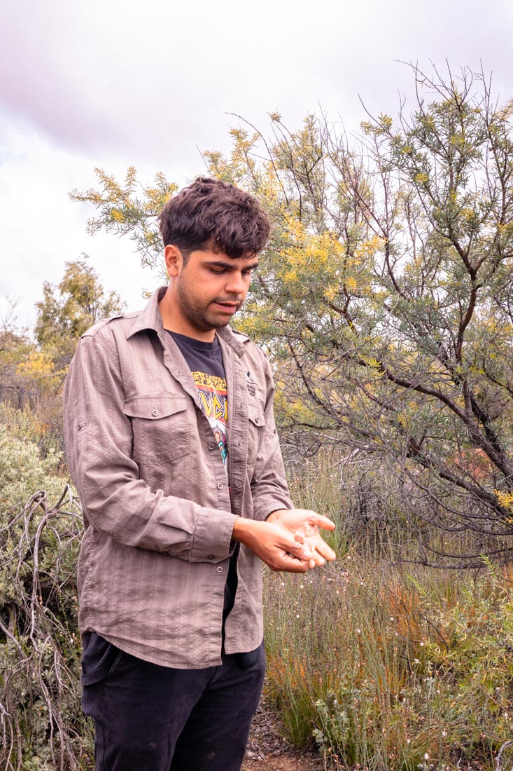 Adnyamathanha people Flinders Ranges - Australian Native Tribe