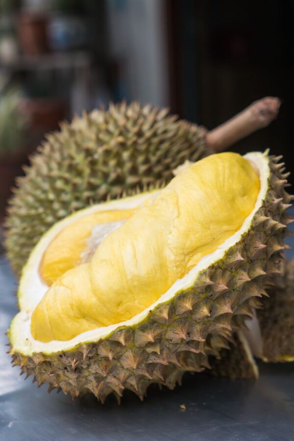 Bangkok Food: 13 BEST Foods To Eat In Bangkok (2024 Guide)