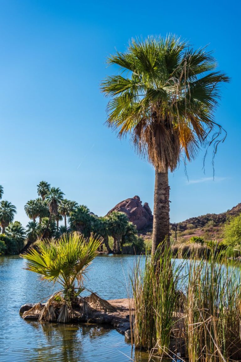 13 BEST Things to do in Phoenix in Winter (2024 Guide)