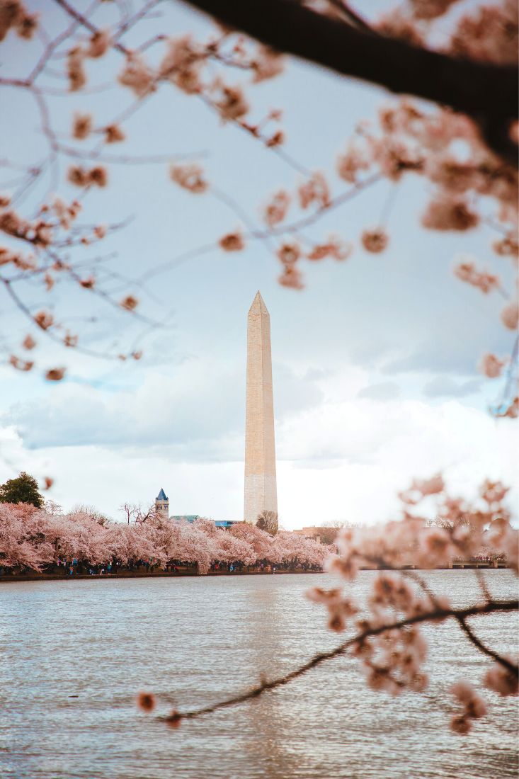 13 BEST Things to do in Washington DC in Spring (2023 Guide)