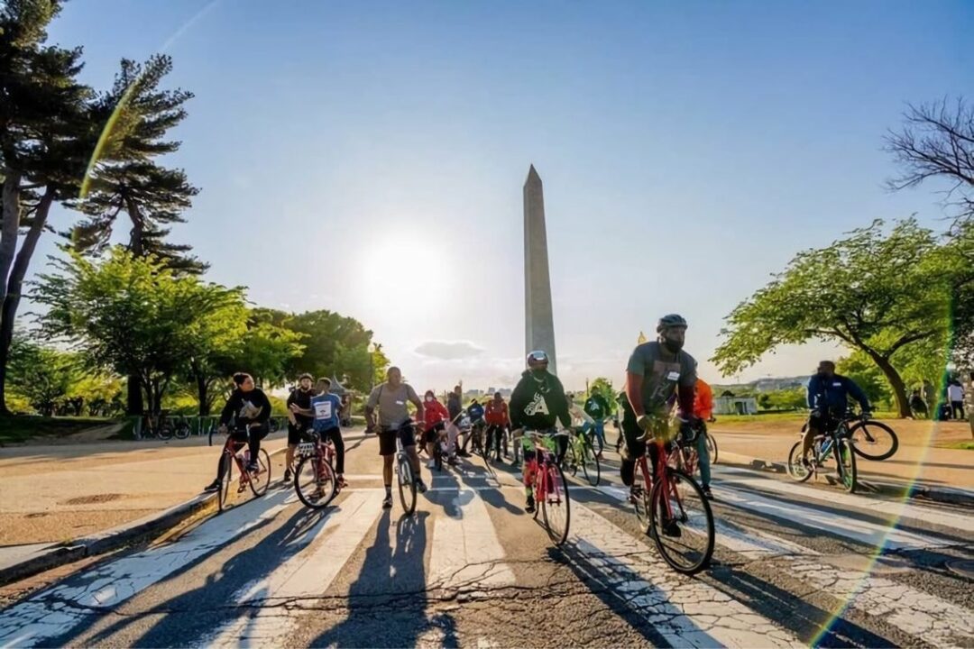 13 BEST Things to do in Washington DC in Spring (2024 Guide)
