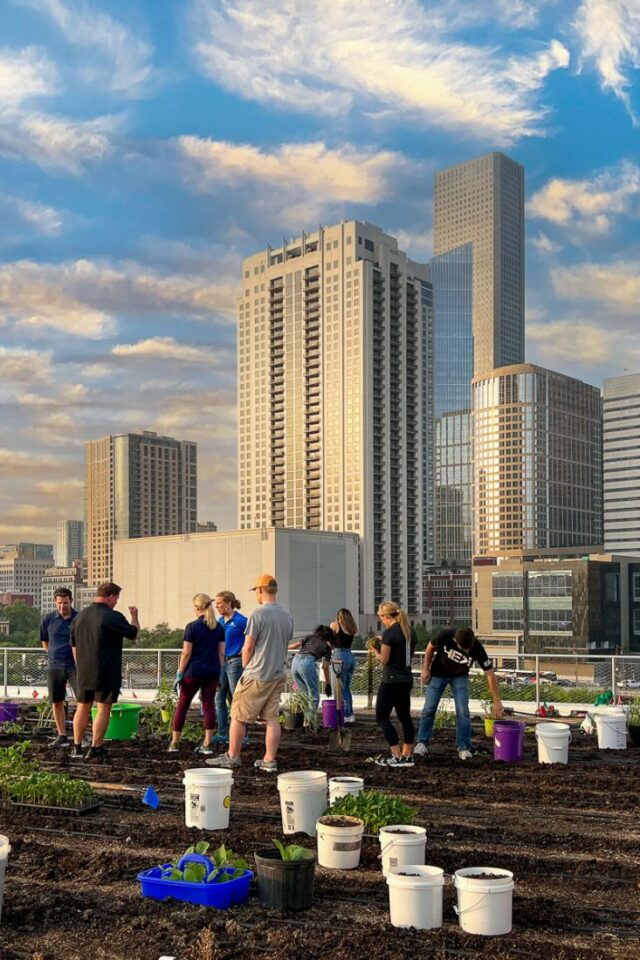 13 BEST Things to do in Houston in Summer (2024 Guide)