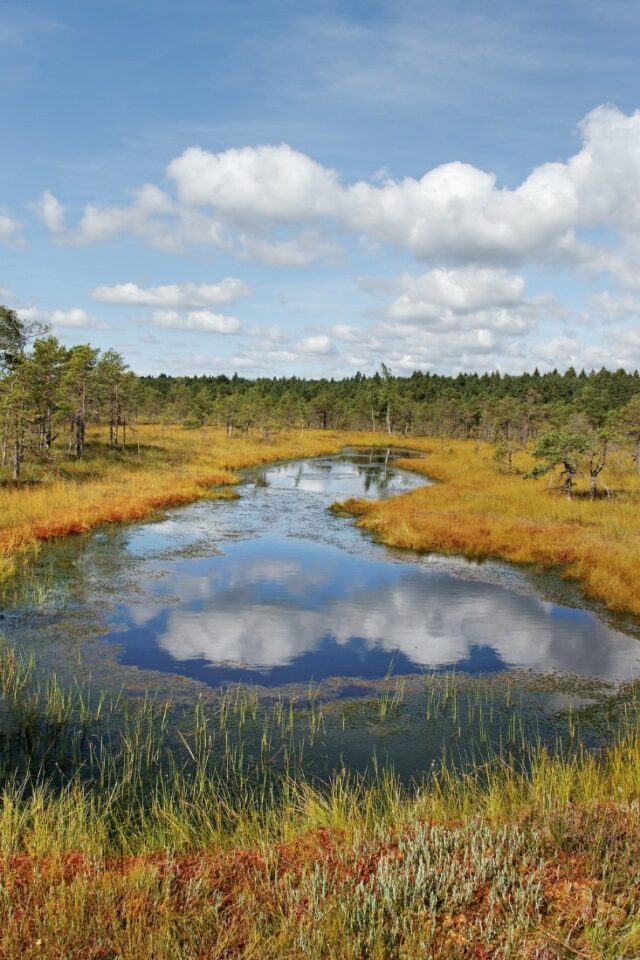 13 BEST Day Trips from Riga, Latvia (2024 Guide)