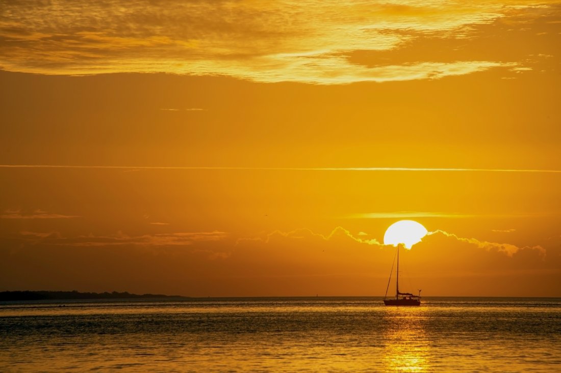 13 BEST Things to do in Charleston in Winter (2024 Guide)