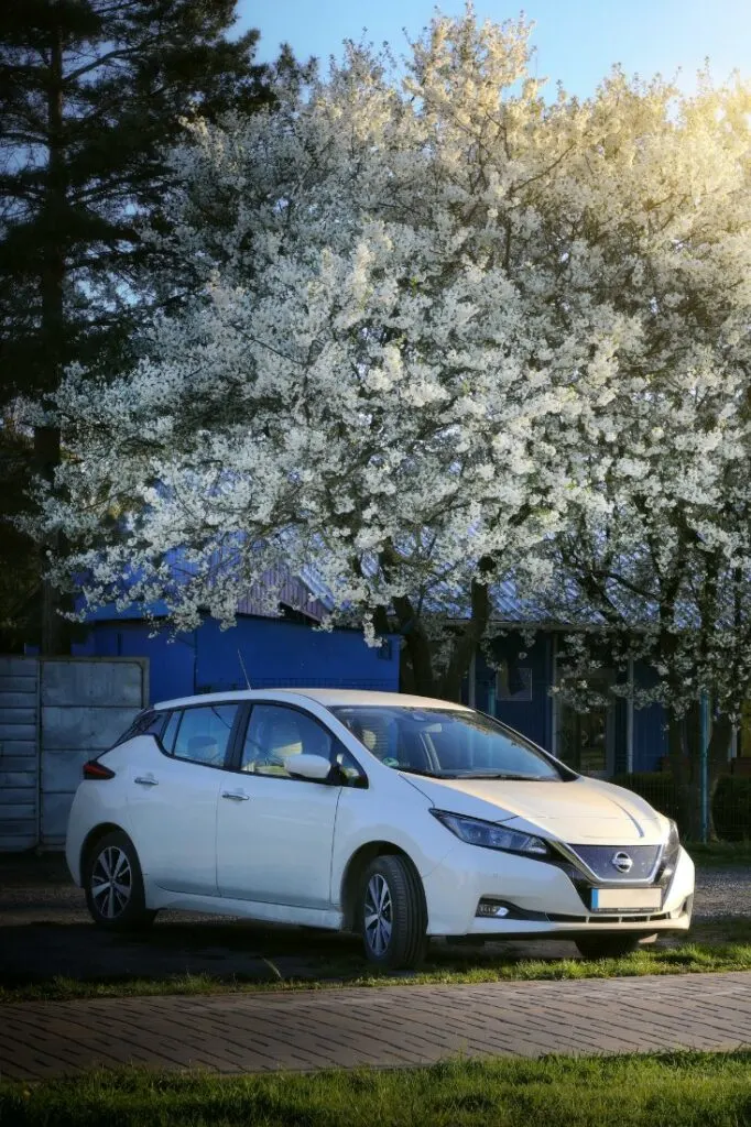 Eco-Friendly Car Rental at San Francisco Airport (SFO)