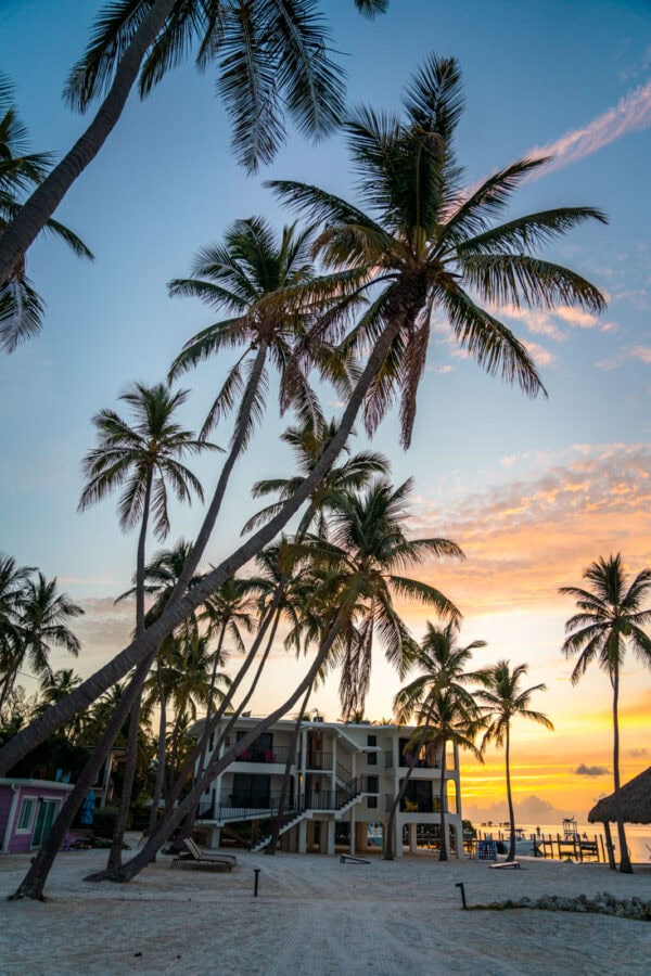7 Day Itinerary for the Florida Keys (2024 Guide)