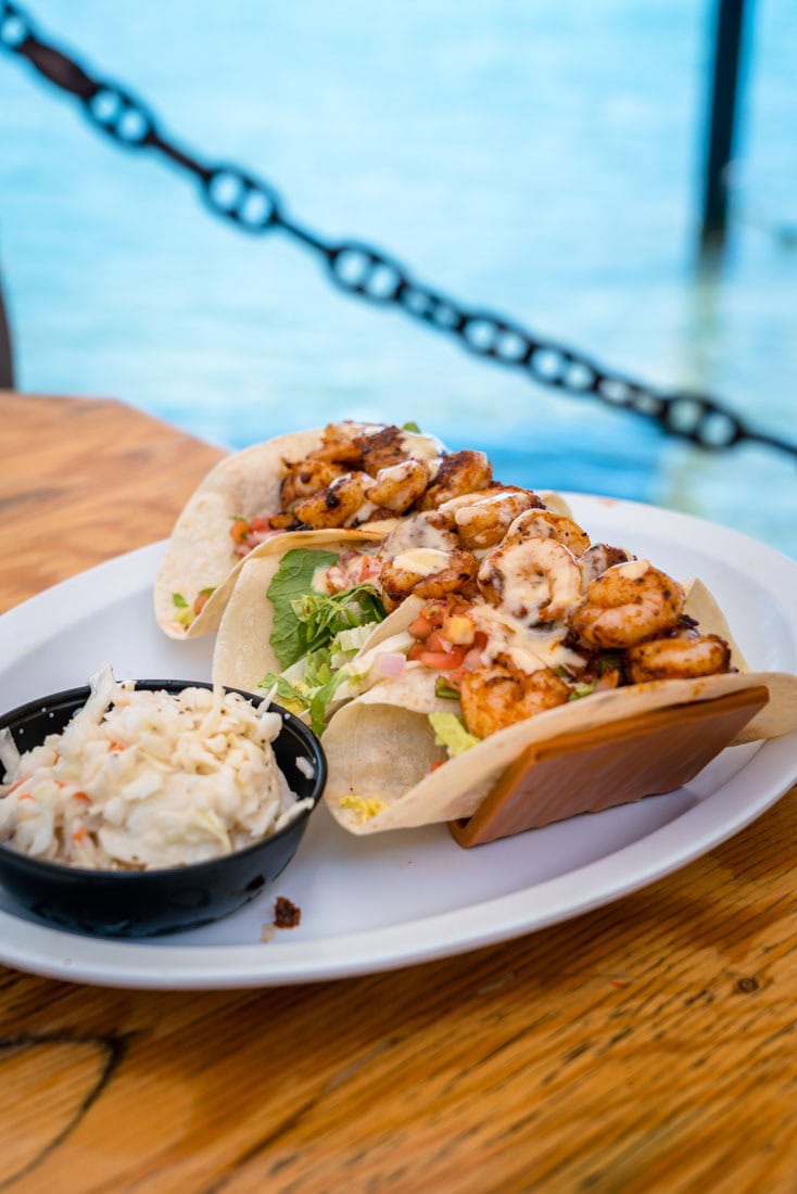 7 Day Itinerary for the Florida Keys (2024 Guide)