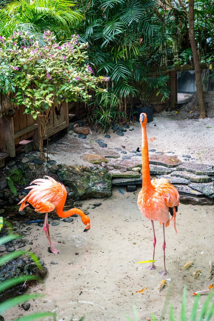 7 Day Itinerary for the Florida Keys (2024 Guide)